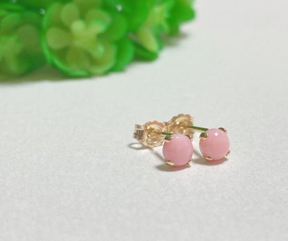 14kgf＊petit＊プチピアス・クィーンコンクシェル ピアス（スタッド・一粒） kerokerowl 通販 14778558｜Creema(クリーマ)