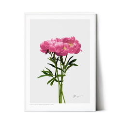 Creema限定 福袋 【 北欧ポスター 2枚セット 】 お好きなデザインに差し替え可能！ 期間限定10%off 写真・グラフィック E ...