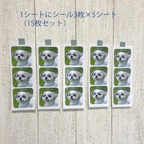 5cmサイズ 四角いうちの子シール ☆写真からうちの子シールを 5cmサイズ 四角いうちの子シール ☆写真からうちの子シールを
