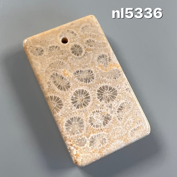 フォッシルコーラル 穴あき レクタグル 35ミリ nl5336 天然石 pinky 通販 14815573｜Creema(クリーマ)