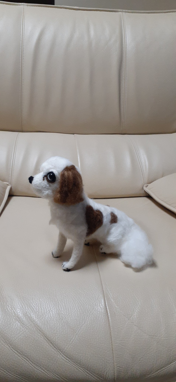 羊毛キャバリア 羊毛フェルト Kingこうた 通販 14949785｜Creema(クリーマ)