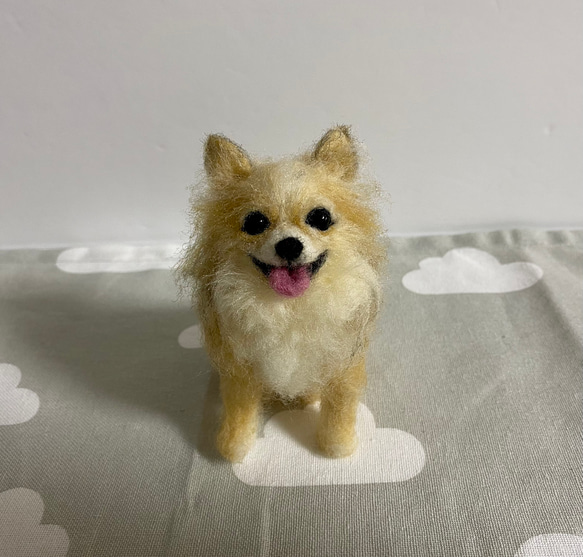 Florence様 オーダー品 おもちゃ・ペット小物 alpaca 通販 14976887｜Creema(クリーマ)