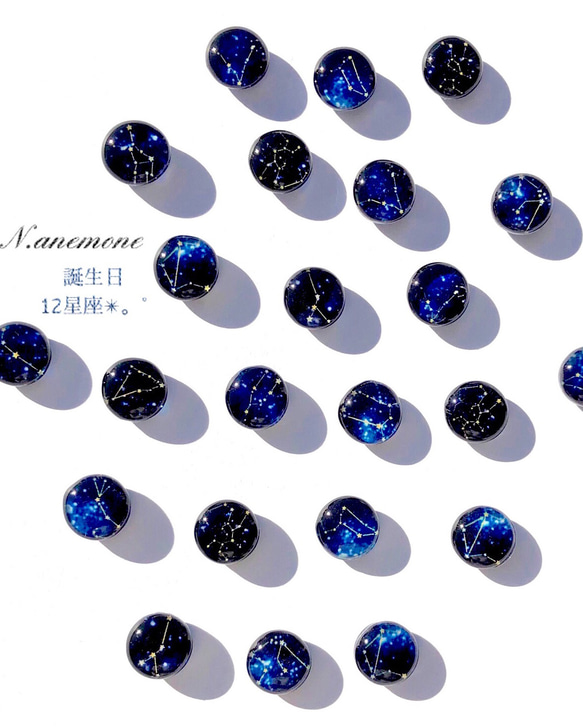 星空 ︎誕生日12星座。° ピアス/イヤリング ピアス（スタッド・一粒） N.anemone 通販 15025206｜Creema(クリーマ)