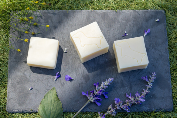 【再販】【犬用固形石鹸】 Kirariina Dog Soap [fuwa-fuwa]ふわふわ おもちゃ・ペット小物 Kirariina 通販 ...