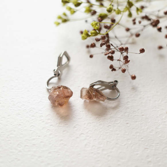 いちごシロップのイヤリング イヤリング・ノンホールピアス ひと匙堂 通販 15106790｜Creema(クリーマ)