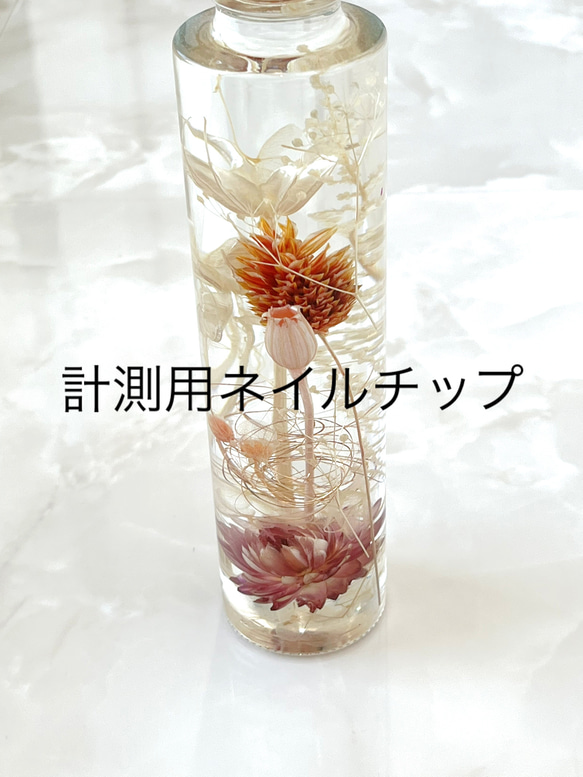 計測用ネイルチップ ネイルチップ（つけ爪） saaa_NR 通販 15251436｜Creema(クリーマ)