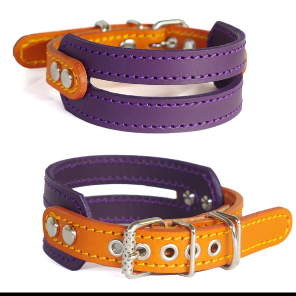 4cm幅ウィペット系 革首輪（パープル＋オレンジ）4cm Type GF2-E002 リード・首輪 extraheavy 通販 15273417｜Creema(クリーマ)