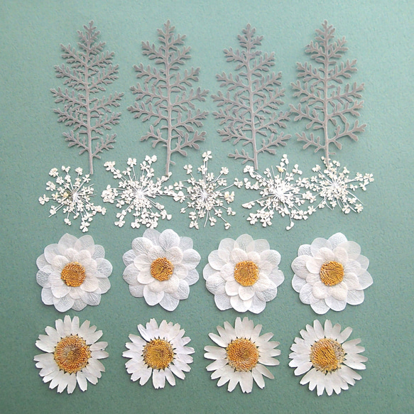 白い押し花セット⑧＜組み立てのお花＆レースフラワー＞ その他素材 koto 通販｜Creema(クリーマ) 15291274