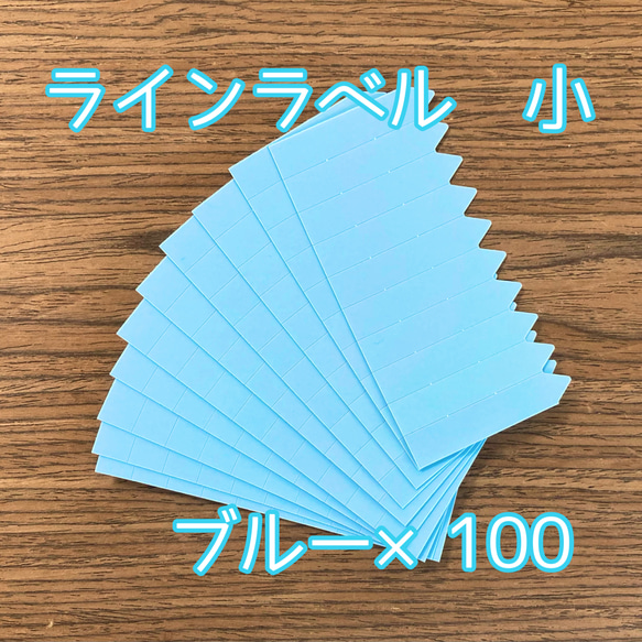 ラインラベル 小 青 100枚園芸ラベル カラーラベル 多肉植物 エケベリア 多肉植物 plants_bomb 通販 15317305 ...