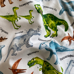 新入荷！USA タイムレストレジャーズ『TimeLess Treasures ダイナソー』～50㎝単位でカット～ 生地 Blanc de ...