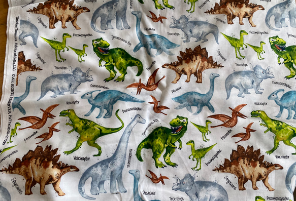 新入荷！USA タイムレストレジャーズ『TimeLess Treasures ダイナソー』～50㎝単位でカット～ 生地 Blanc de ...