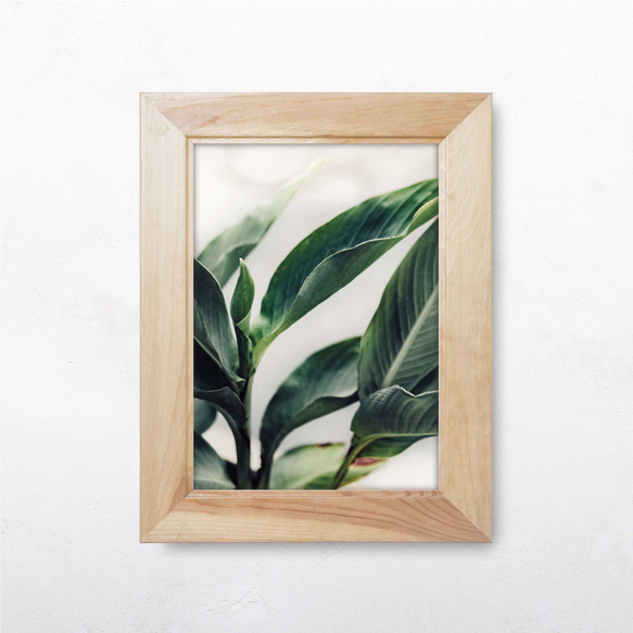 ポスター ボタニカルリーフ オーガスタの葉 写真・グラフィック preseART 通販 15372655｜Creema(クリーマ)