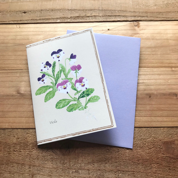 Viola card グリーティングカード スミレ パンジー ビオラ 植物画 メッセージカード botanart 通販 15437767 ...