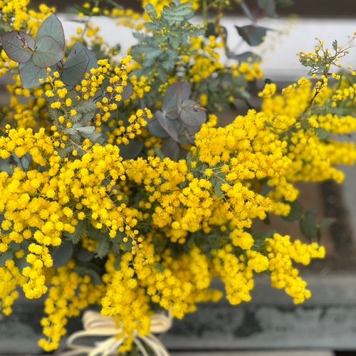 フレッシュミモザとユーカリの花束 ドライフラワースワッグ フレッシュミモザとユーカリの花束 ドライフラワースワッグ