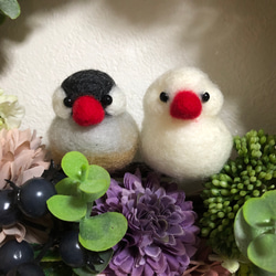 文鳥さんリース(M)ピンクモーヴ リース あおいことり 通販｜Creema(クリーマ)