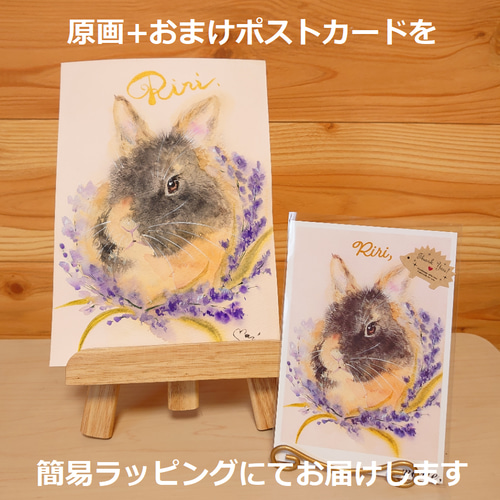 オーダー】ペットの似顔絵(水彩)A5サイズ イラスト umecha オーダー】ペットの似顔絵(水彩)A5サイズ イラスト umecha