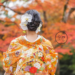 胡蝶蘭の髪飾り(大きめ6輪)｜結婚式 成人式 卒業式 前撮り 白無垢 色打掛 和装 ヘッドドレス ヘアアクセ №168 ヘッドドレス ...