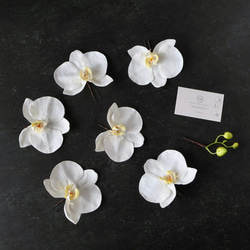 胡蝶蘭の髪飾り（大きめ/6輪 ）｜白無垢・色打掛・結婚式に（No.168） ヘッドドレス（ウェディング） So.29 通販 15604711 ...