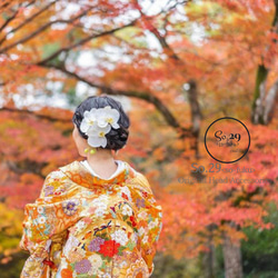 胡蝶蘭の髪飾り（大きめ/6輪 ）｜白無垢・色打掛・結婚式に（No.168） ヘッドドレス（ウェディング） So.29 通販 15604711 ...