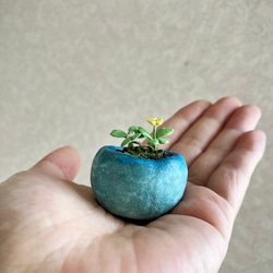 7889.bud 粘土の鉢植え カタバミ その他インテリア雑貨 bud 通販 15607160｜Creema(クリーマ)