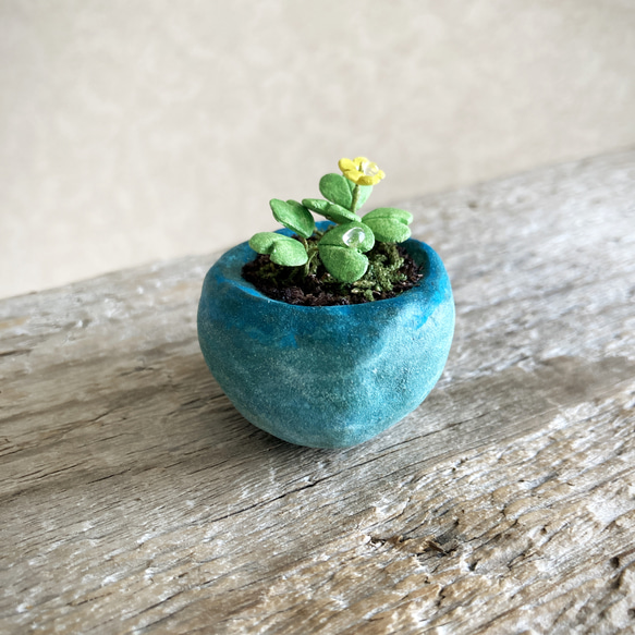 7889.bud 粘土の鉢植え カタバミ その他インテリア雑貨 bud 通販 15607160｜Creema(クリーマ)