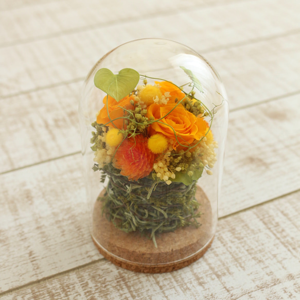 プリザーブドフラワー＆ドライフラワー ガラスドームアレンジ 母の日 birthday オレンジ色 プリザーブドフラワー atelier 花苺月 通販 15679705｜Creema(クリーマ)