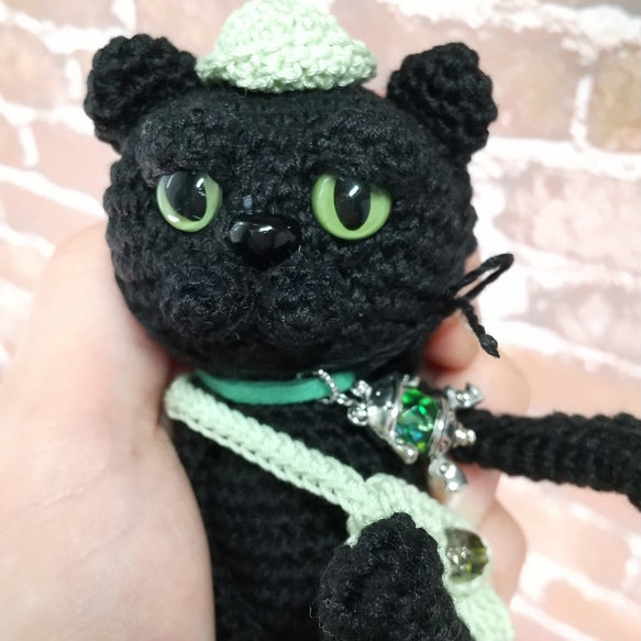 Kay14☆あみぐるみ☆キラキラカエルちゃんが好きな黒猫☆peru あみぐるみ *Kay* 通販｜Creema(クリーマ) 15777777