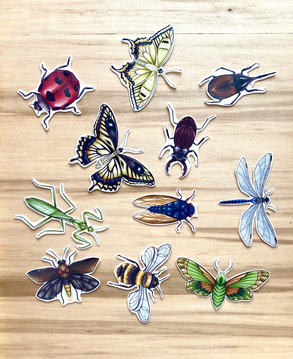 Insect Sticker Set (11 piece) - 虫のシールセット(11枚） シール・ステッカー Bonsai Girl 通販 15780298｜Creema(クリーマ)
