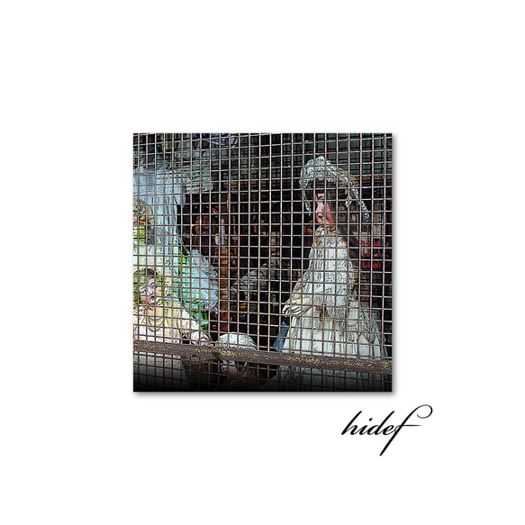 【送料無料】視線をそらさず凝視が眺め捉えられる（sq1812038） 写真・グラフィック hidef 通販｜Creema(クリーマ) 15783857