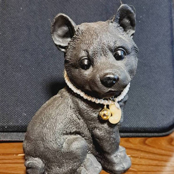 【オーダーメイド】愛猫の『首輪ニャン！』 リード・首輪 由歌（ユカ） 通販 15827950｜Creema(クリーマ)