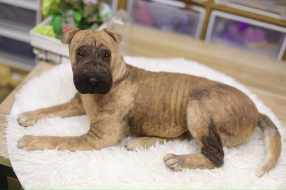 【受注製作】羊毛フェルト、うちの子、犬ぬいぐるみ、フェルト犬、ペットの肖像画、犬猫人形、ペットロス、うちのこ記念日 羊毛フェルト ...