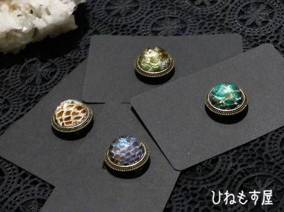 reptile crest コロンと帯留め 帯留め ひねもす屋 通販 15895700｜Creema(クリーマ)