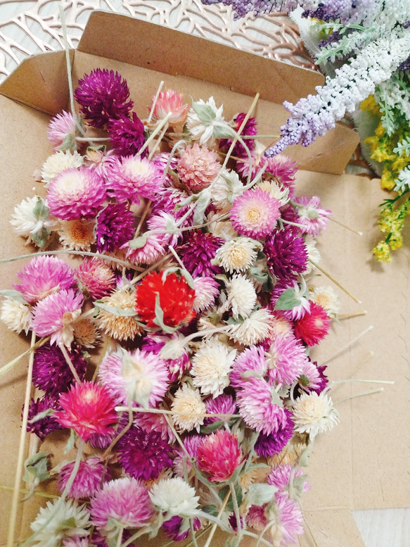 千日紅ドライフラワー 花材 カラフルmix ハーバリウムやキャンドル、インテリアや写真撮影の小物にしても ドライフラワー karin ...