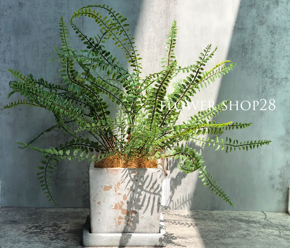 《タマシダ》造花 観葉植物 フェイクグリーン インテリア 新築祝い 多肉植物 flowershop28 通販 15915331｜Creema ...