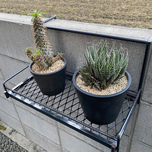 TVにて紹介されました 耐震☆突っ張れて倒れない 窓枠ラック TVにて紹介されました 耐震☆突っ張れて倒れない 窓枠ラック