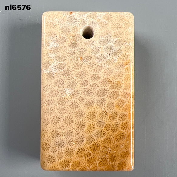 フォッシルコーラル 穴あき レクタグル 24ミリ nl 6576 天然石 pinky 通販｜Creema(クリーマ) 15966010