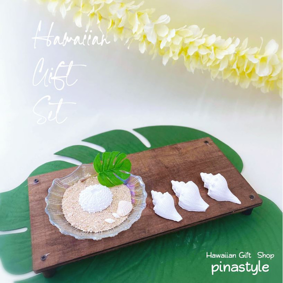 【数量限定】オイルプレゼント 貝殻 アロマストーン ギフトセット ／ハワイアン ギフト ／海 ／誕生日 ディフューザー・アロマポット pinastyle 通販 15967834｜Creema ...