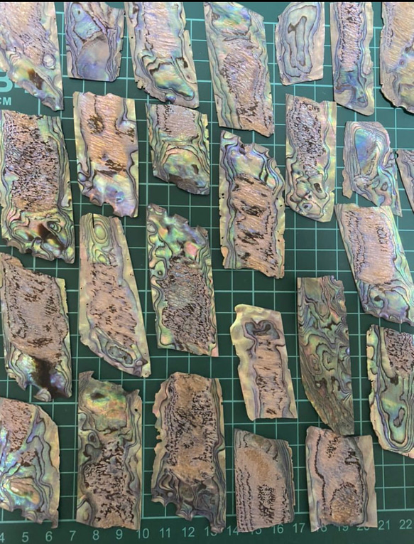 アワビ貝殻 白蝶貝殻 パールシェル 螺鈿 ルアー ネイルアート40g15枚前後 その他アート ebys 通販 15970704｜Creema ...