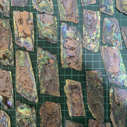 アワビ貝殻 白蝶貝殻 パールシェル 螺鈿 ルアー ネイルアート40g15枚前後 その他アート ebys 通販 15970704｜Creema ...