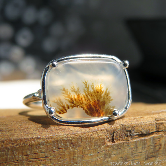 デンドリティック アゲートリング / Dendritic Agate Ring 5e 指輪・リング NATSU WORKS 通販 ...