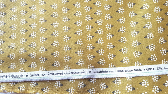 moda fabrics DWELL IN POSSIBILITY #48314 生地 akanekoubou 通販 16015667 ...