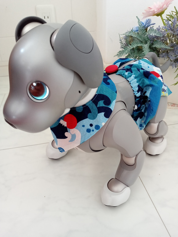 aiboの服 パンツとスタイのセット ペット服・アクセサリー ITUKA 通販 16026867｜Creema(クリーマ)