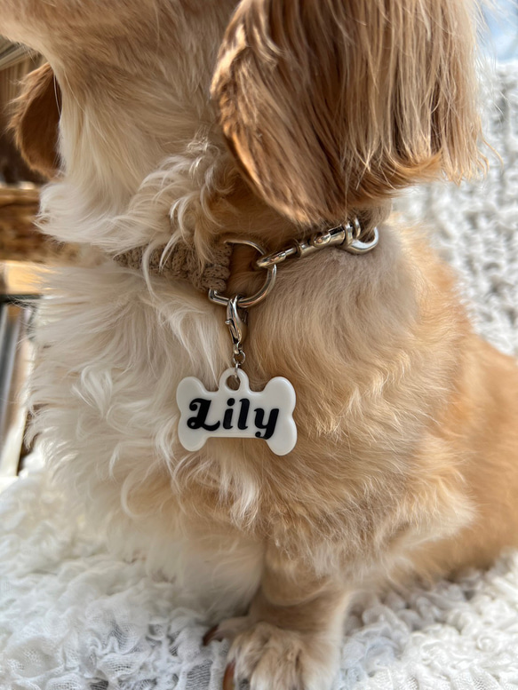 Buddy Charm お名前入りドックチャーム わんちゃん わんこ ネームタグ ドッグチャーム ドッグ ペット服・アクセサリー わんこと ...