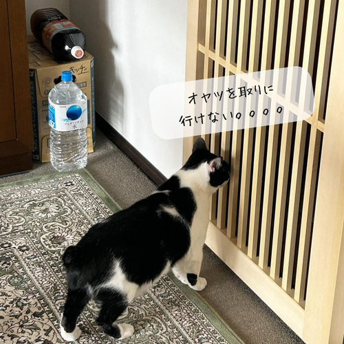 猫ちゃん 脱走防止引き戸 パーテーション・間仕切り 猫ちゃん 脱走防止引き戸 パーテーション・間仕切り