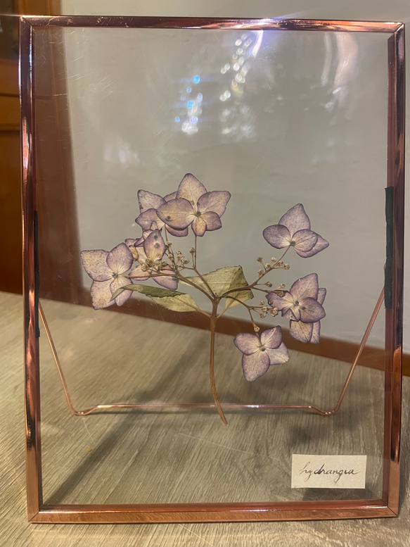 紫陽花のガラス押し花ドライフラワーフレーム 贈り物やインテリアに ドライフラワー beau jalden 通販 16101163｜Creema ...