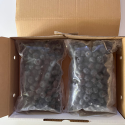 ジャムに最適 無農薬冷凍ブルーベリー 小粒 1kg （500g X 2） 果物（フルーツ） いやさかファーム 通販｜Creema(クリーマ) 16194839