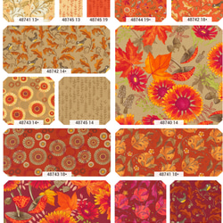 「Forest Frolic」チャームパック moda 生地 カットクロス Robin Pickens はぎれ studio peperin ...