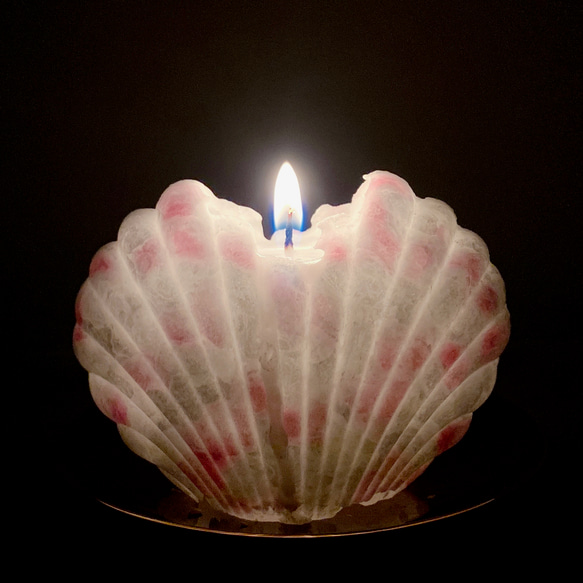 Sakura Shell candle（桜貝キャンドル） キャンドル・キャンドルホルダー kerree candle 通販 16366376 ...