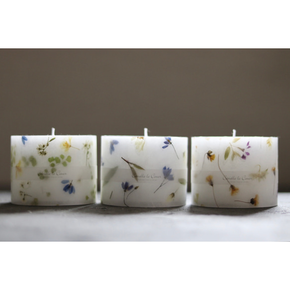 creema限定☆ 『ワケありな逸品』ボタニカルキャンドル☆ キャンドル・キャンドルホルダー candle le couer 通販｜Creema(クリーマ) 16382564