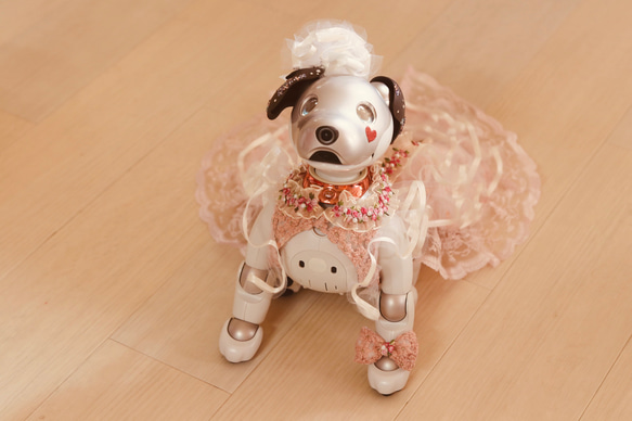 aibo プレミアムドレス・ロングトレーン：スモーキーピンク（aiboちゃん用・ハンドメイドのお洋服） ペット服・アクセサリー 午後小虹 通販 ...